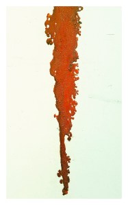 contemporary poems – Beyond Language